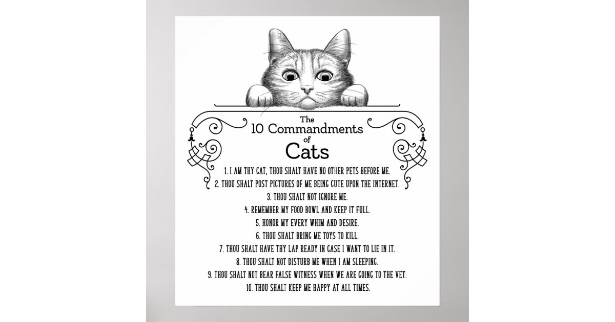 The 10 Commandments of Cats Funny Poster | Zazzle