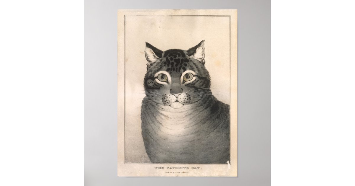The Favorite Cat Lithograph - Nathaniel Currier Poster | Zazzle