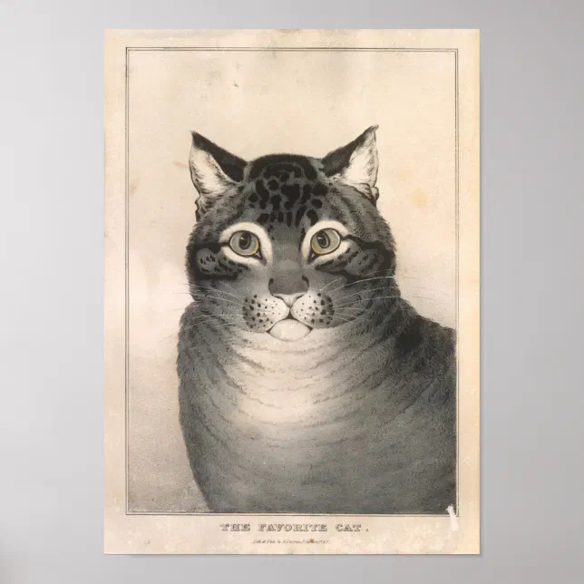 The Favorite Cat Lithograph - Nathaniel Currier Poster | Zazzle