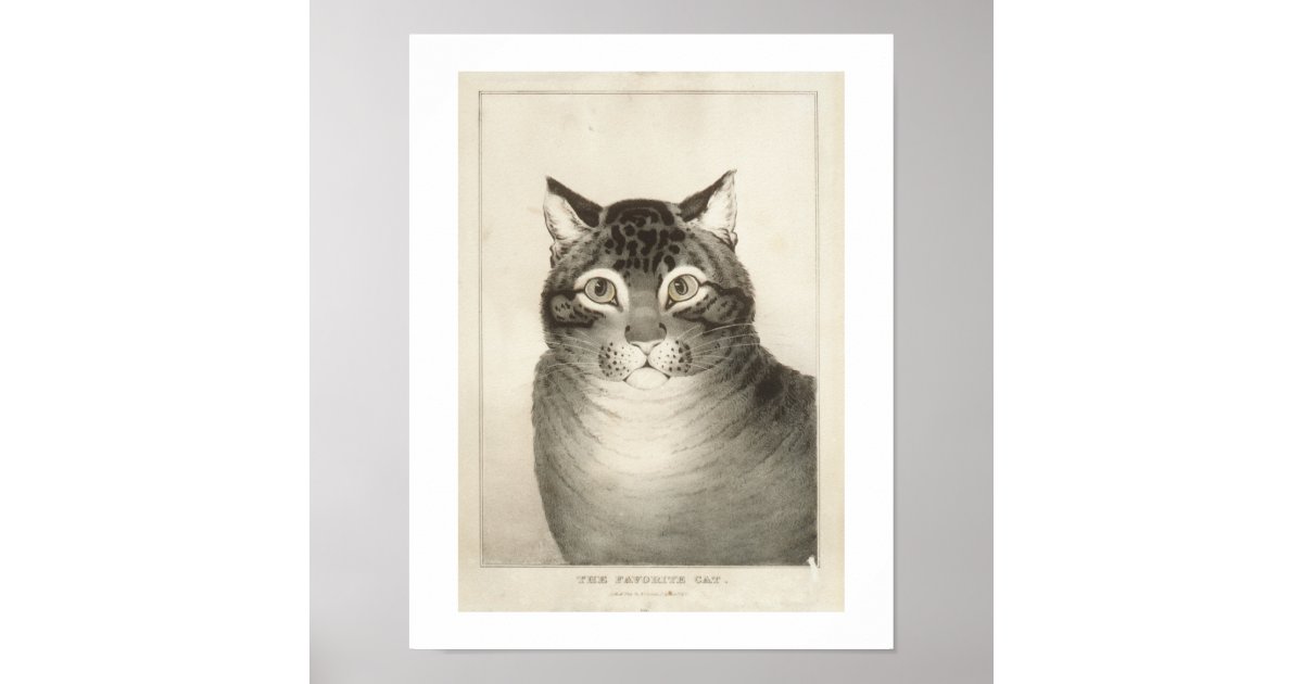 The Favorite Cat Vintage Print | Zazzle