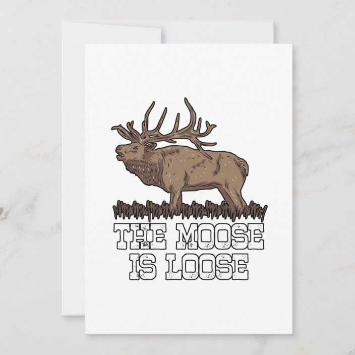 The Moose is loose Thank You Card | Zazzle.co.uk