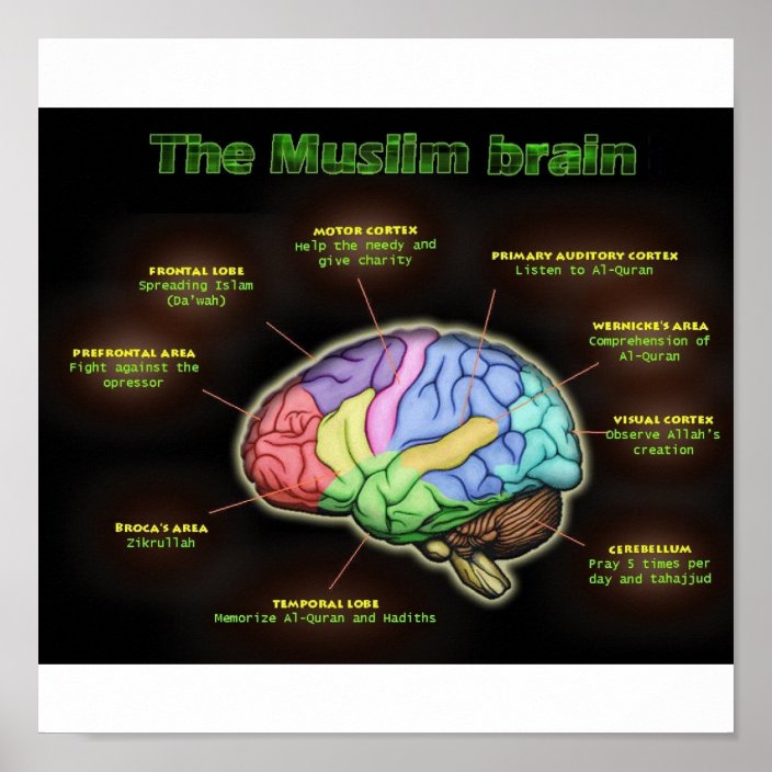 THE MUSLIM BRAIN Poster | Zazzle.co.uk