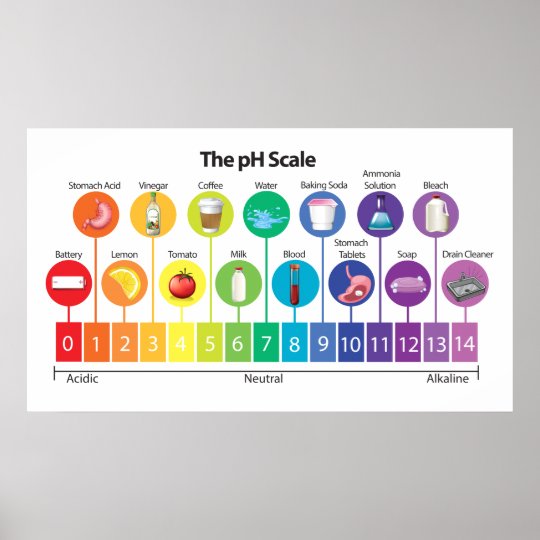 The pH Scale Poster | Zazzle.co.uk