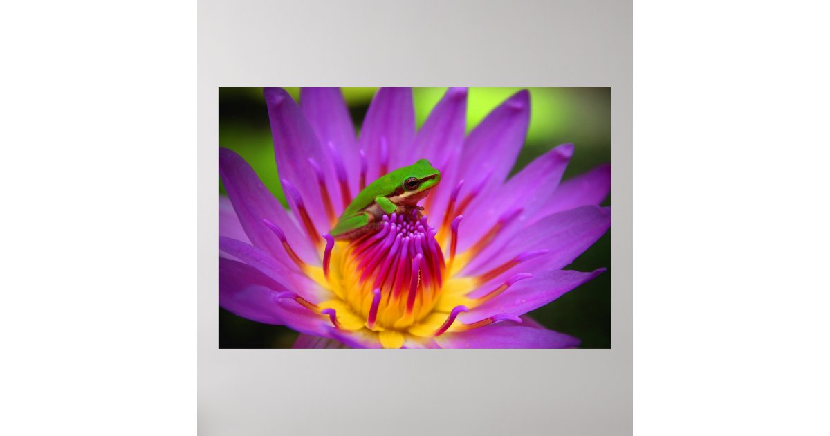 The Poser Poster | Zazzle