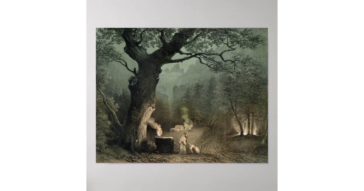 The Sacred Grove of the Druids Poster | Zazzle