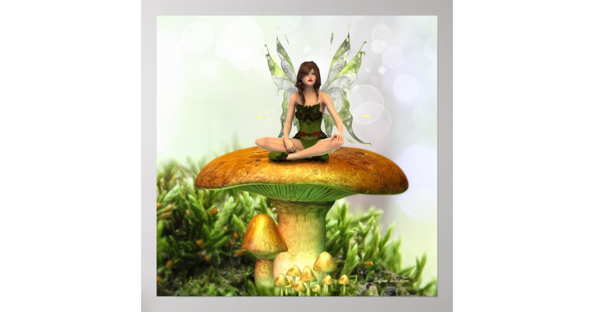 The Toadstool Fairy Poster Print | Zazzle