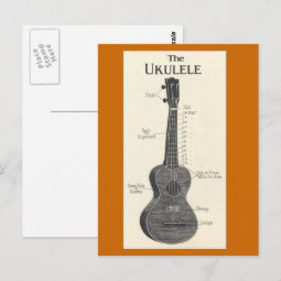 The Ukulele Postcard | Zazzle