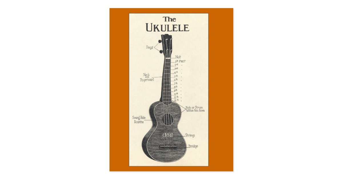 The Ukulele Postcard | Zazzle.co.uk