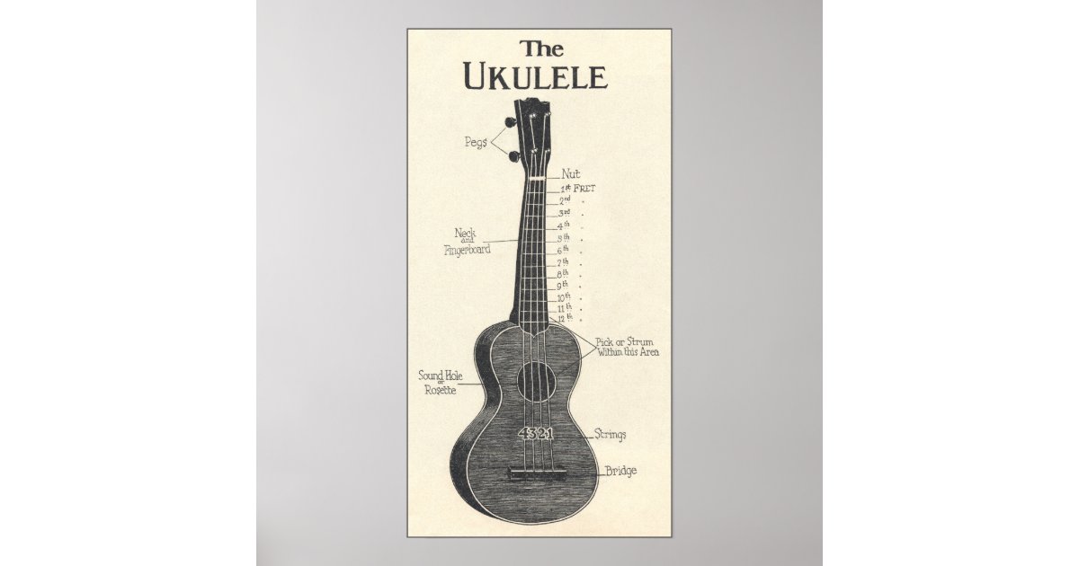 The Ukulele Poster | Zazzle