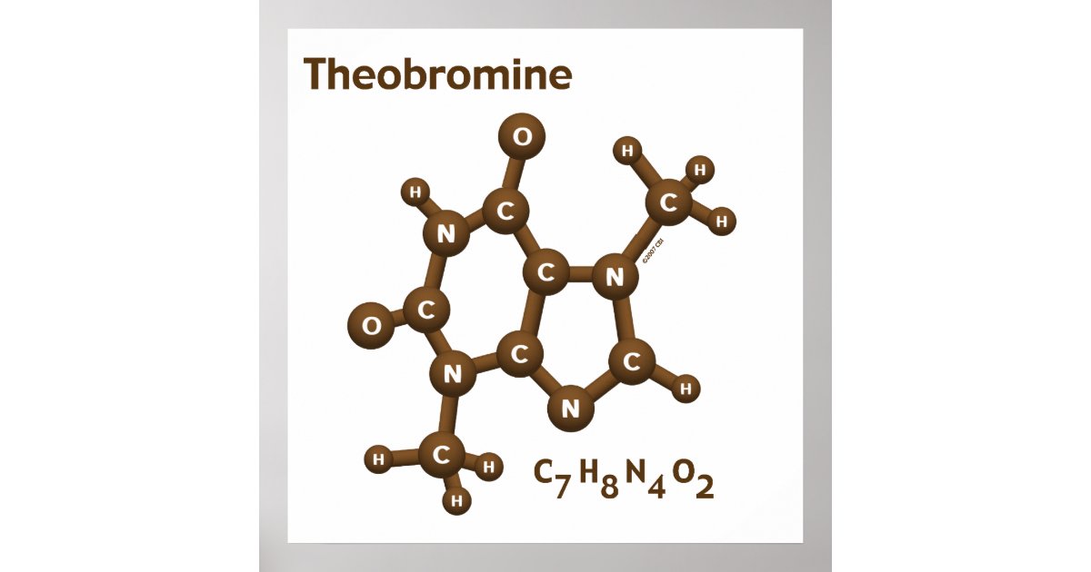 Theobromine Poster | Zazzle