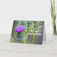 Thistle Cards | Zazzle UK