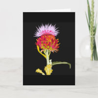 Thistle Cards | Zazzle UK