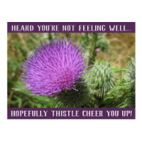 Thistle Cards | Zazzle UK