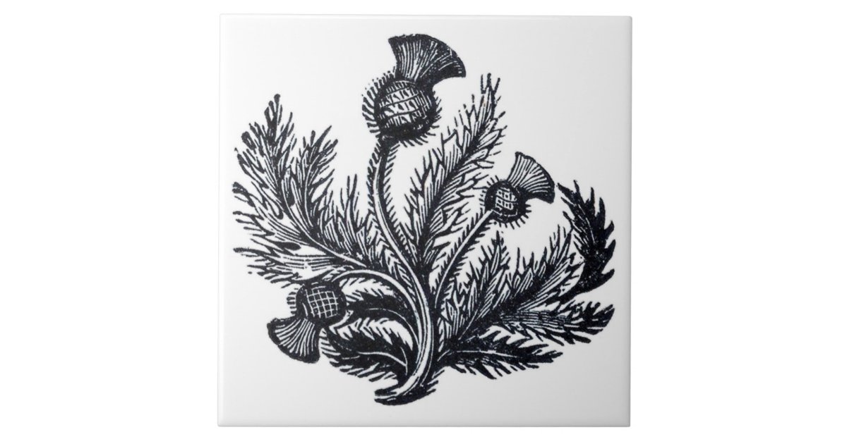 Thistle Tile | Zazzle
