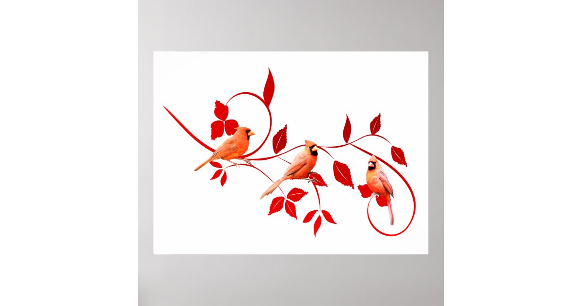 Three Cardinals Poster | Zazzle