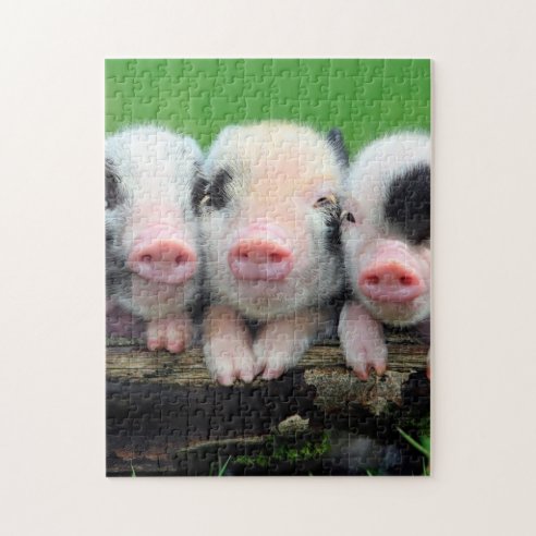 Pig Jigsaw Puzzles | Zazzle.co.uk