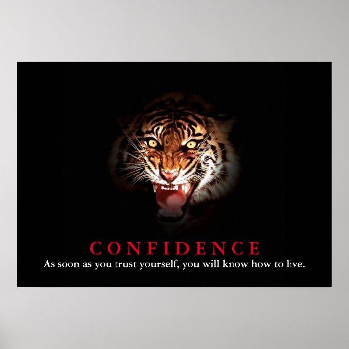 Tiger Confidence Quote Inspirational Poster | Zazzle.co.uk