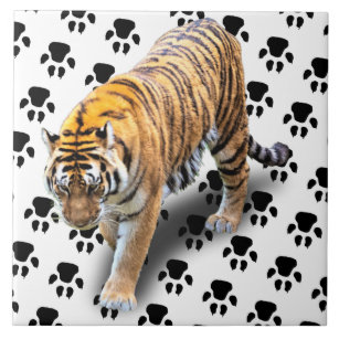 Animal Print Decorative Ceramic Tiles | Zazzle.co.uk