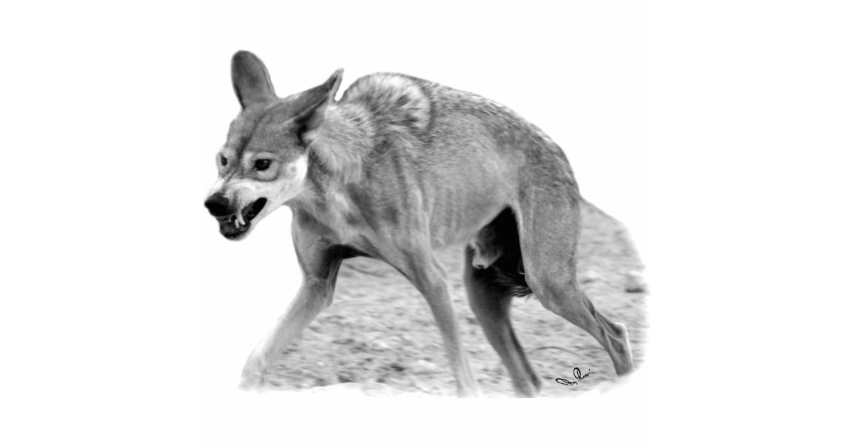 Timber Wolf Snarl Standing Photo Sculpture | Zazzle