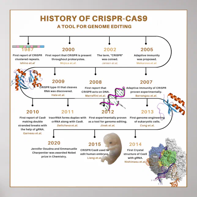 Timeline of CRISPR History Poster | Zazzle