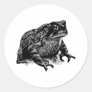 Toad Stickers & Labels | Zazzle UK