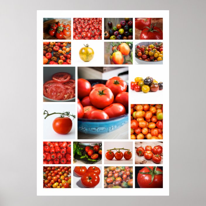 TOMATO Collage Poster | Zazzle.co.uk