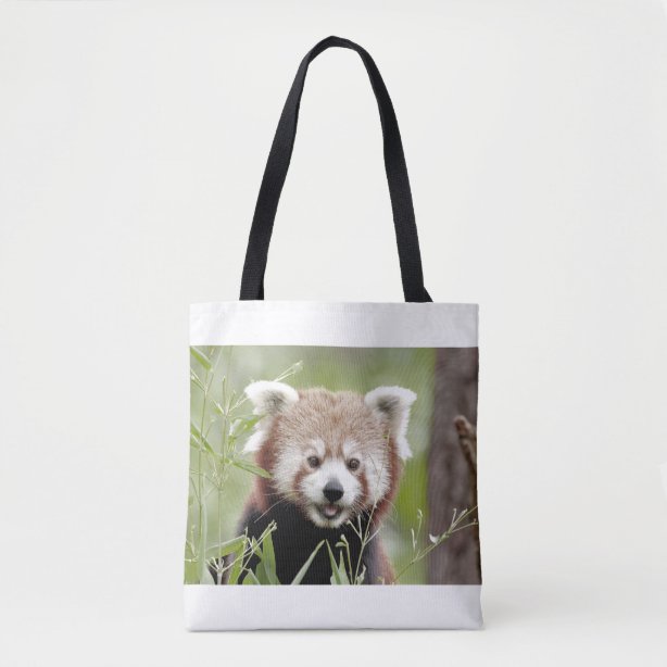 Red Panda Gifts & Gift Ideas | Zazzle UK