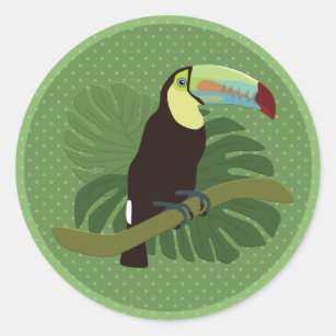 Toucan Stickers & Labels | Zazzle UK