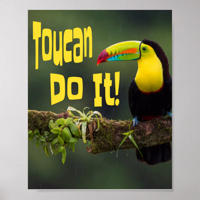 Toucan Do It! Colourful Bird Motivational Funny Poster | Zazzle