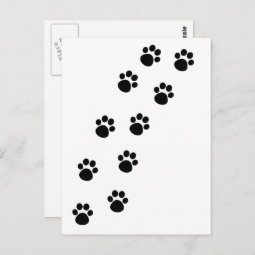 Track of Cat Paw Marks Postcard | Zazzle