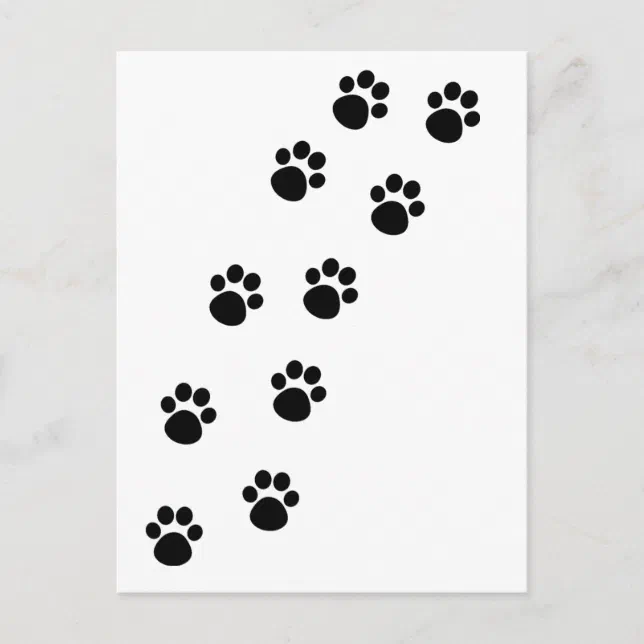 Track of Cat Paw Marks Postcard | Zazzle