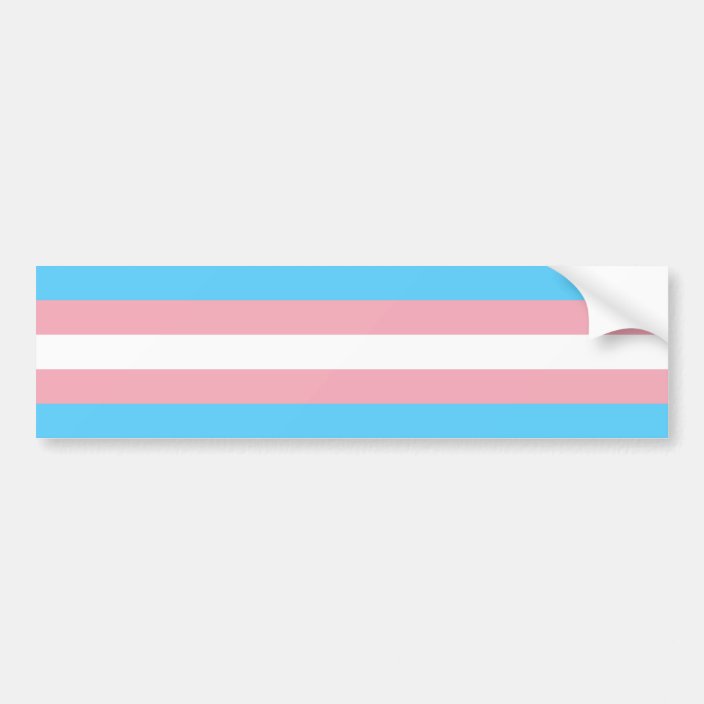 Trans Pride Flag Bumper Sticker | Zazzle.co.uk
