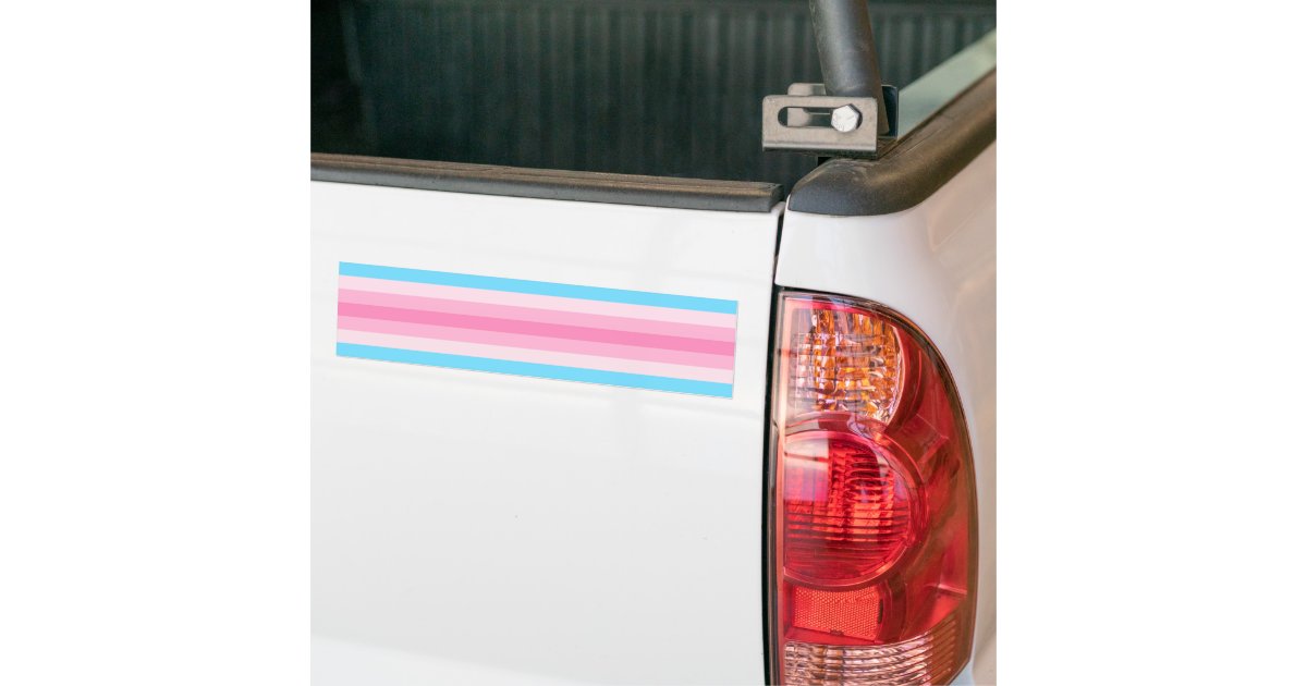 Transfeminine Pride Bumper Sticker | Zazzle