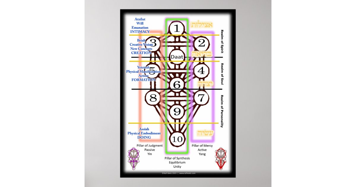 Tree of Life Diagram | All Sizes Poster | Zazzle