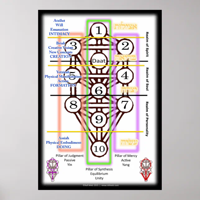 Tree of Life Diagram | All Sizes Poster | Zazzle