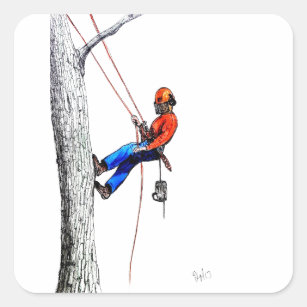 Arborist Stickers & Labels | Zazzle UK
