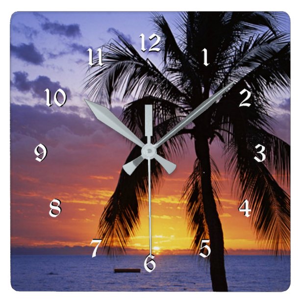 Tropical Sunset Art & Wall Décor | Zazzle.co.uk