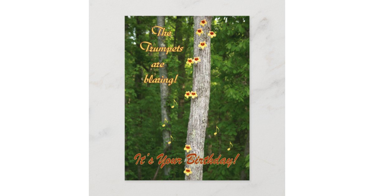 Trumpets are Blaring / It's Your Birthday! Postcard | Zazzle