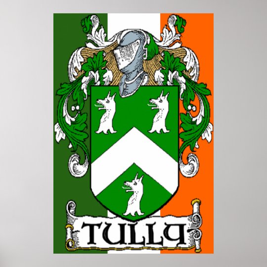 Tully Coat of Arms Irish Flag Print | Zazzle.co.uk