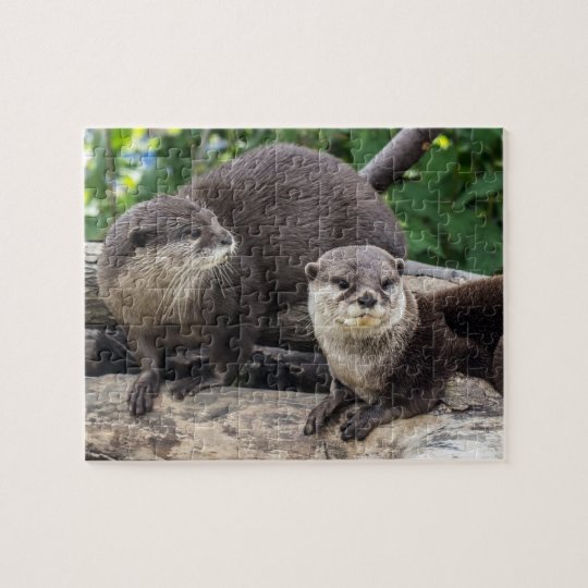 Two Cute Otters | Otter Jigsaw Puzzle | Zazzle.co.uk