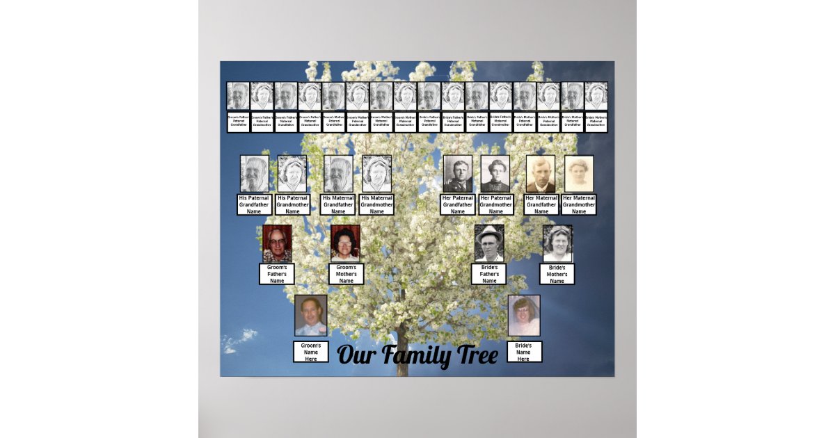 Two Family Trees Blossoming Tree Photo | Blue Sky Poster | Zazzle
