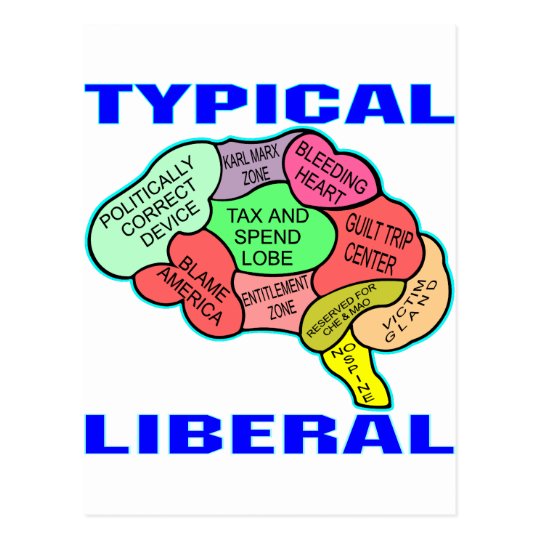 Typical Liberal Socialist Brain Postcard | Zazzle.co.uk