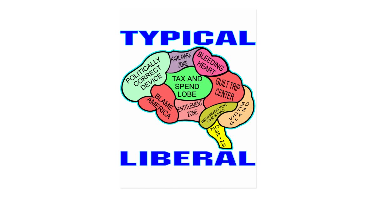 Typical Liberal Socialist Brain Postcard | Zazzle.co.uk