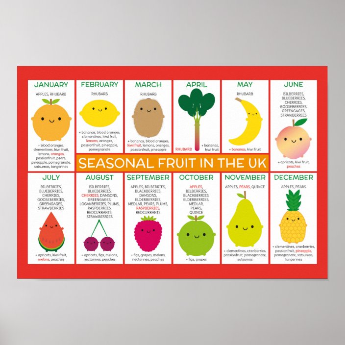UK Seasonal Fruit Chart | Zazzle.co.uk