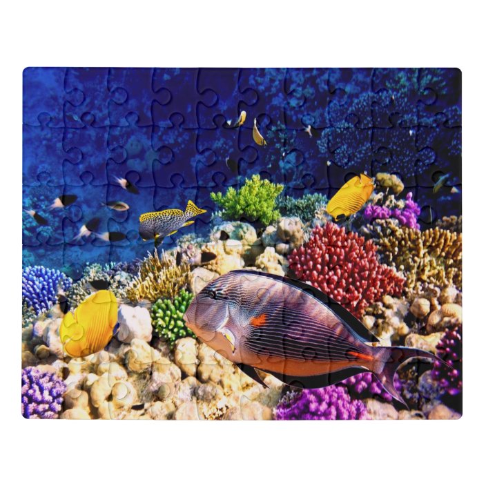 Underwater Coral Reef Photo Gifts Jigsaw Puzzle | Zazzle.co.uk