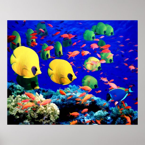 Tropical Fish Posters & Prints | Zazzle UK