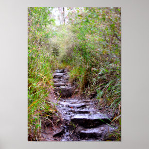 Interior Design Posters & Prints | Zazzle UK