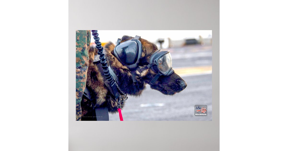US MILITARY WORKING DOG POSTER | Zazzle