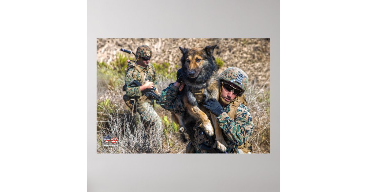 US MILITARY WORKING DOG POSTER | Zazzle