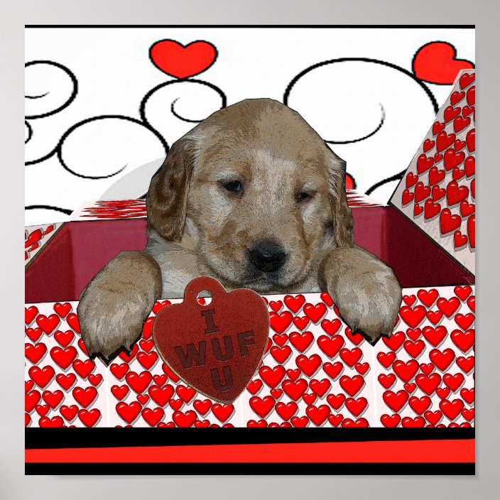 VALENTINE PUPPY - I WUF YOU! (I LOVE YOU) POSTER | Zazzle